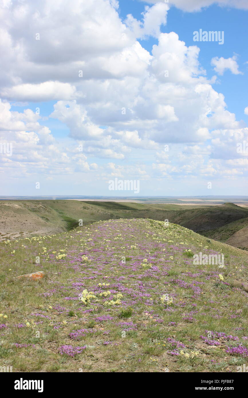 Agriculture weather prairies hi-res stock photography and images - Alamy
