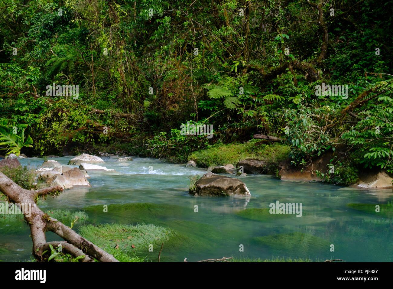 Rio celest, costa rica Stock Photo - Alamy