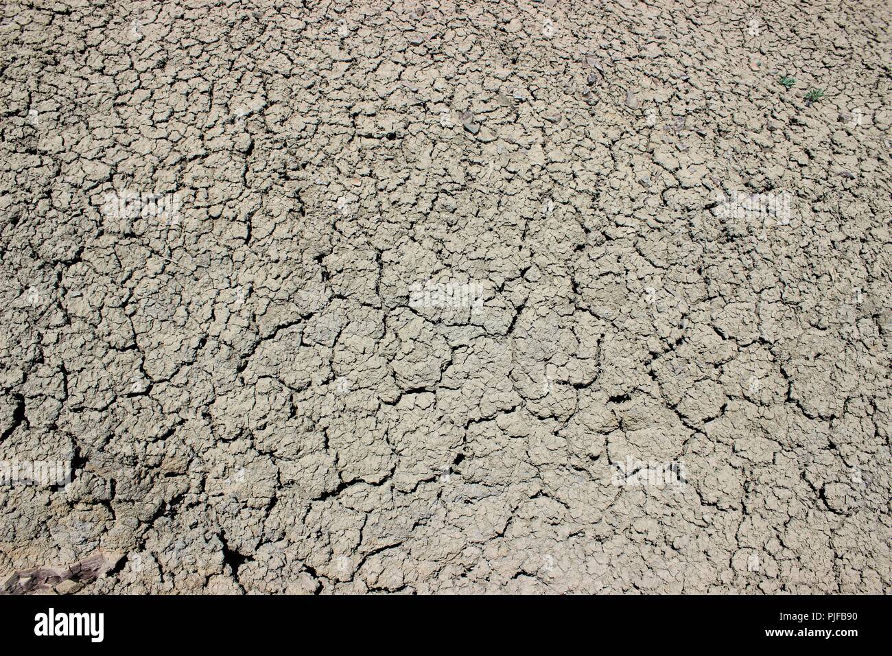 Light brown crumbly soil hi-res stock photography and images - Alamy