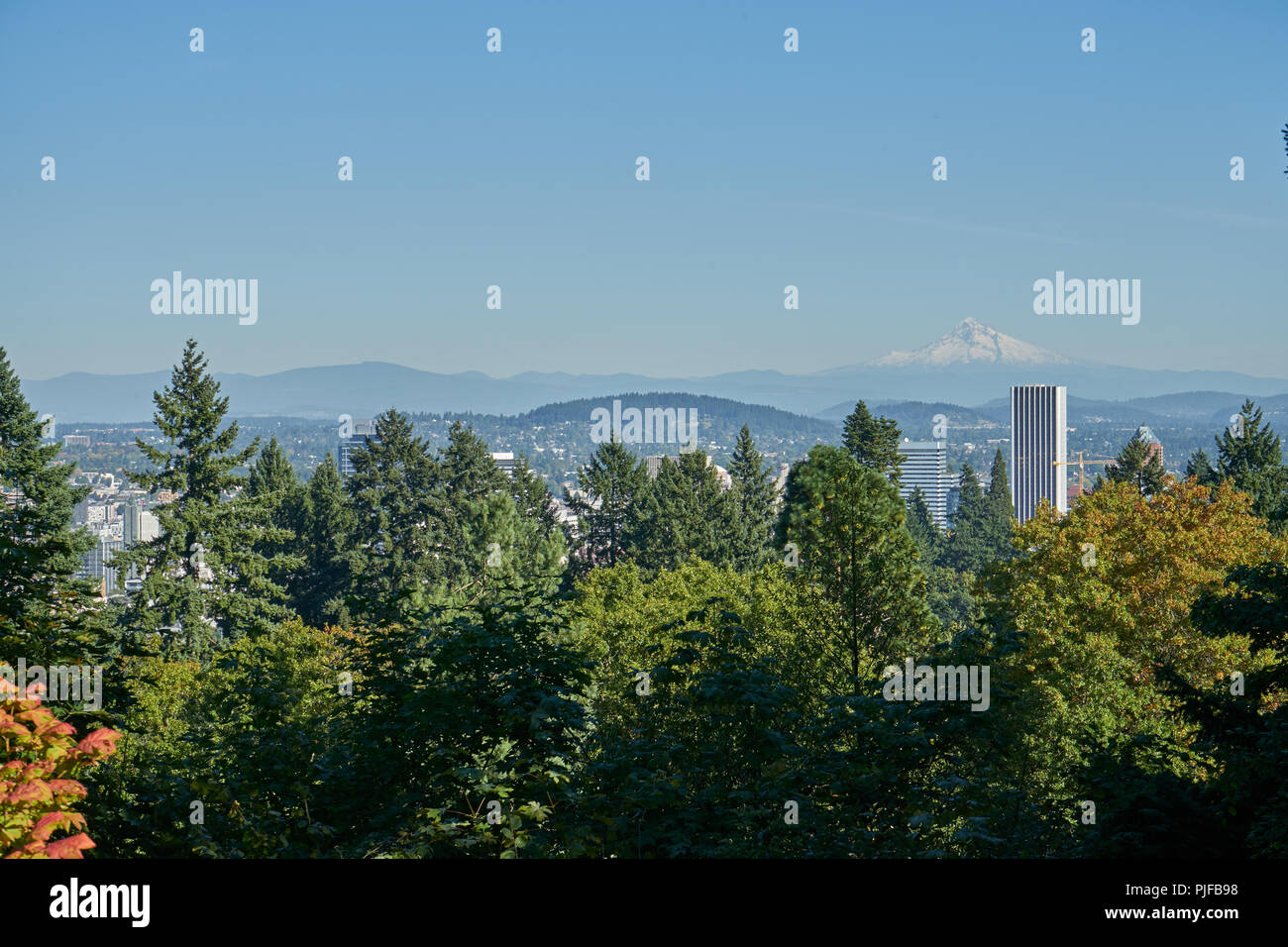 Picture of downtown Portland Oregon with Mt. hood in background Stock ...
