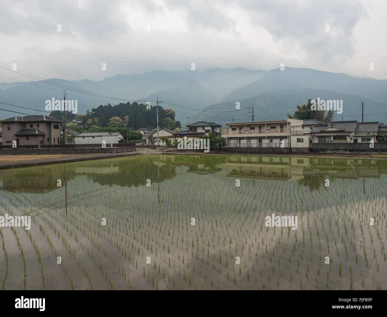 Japanese rice field hi-res stock photography and images - Alamy