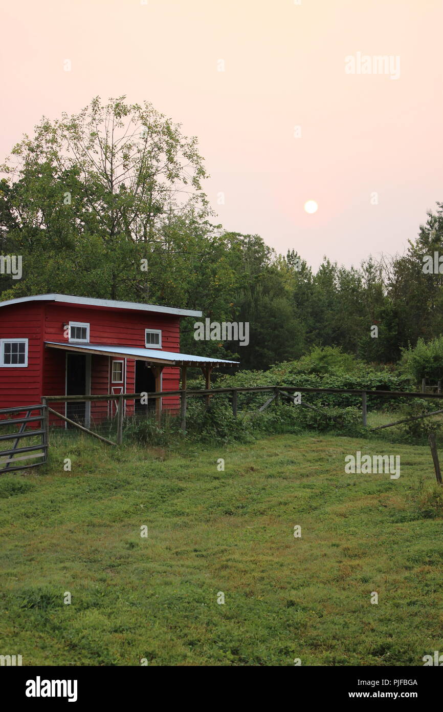 Cows and red barn hi-res stock photography and images - Alamy