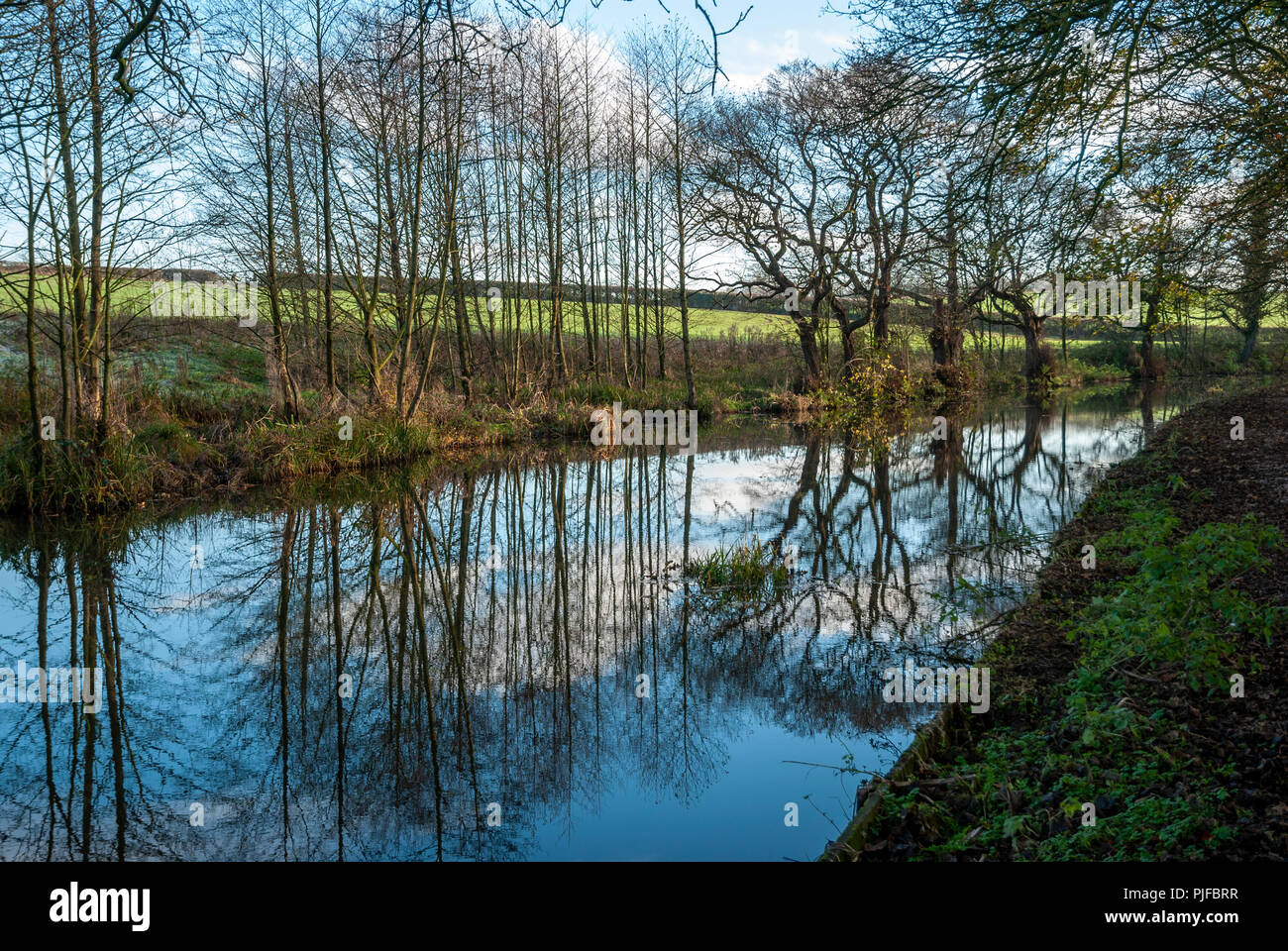 Lancaster Canal near New Park Bridge, Galgate, Lancashire, UK Stock ...