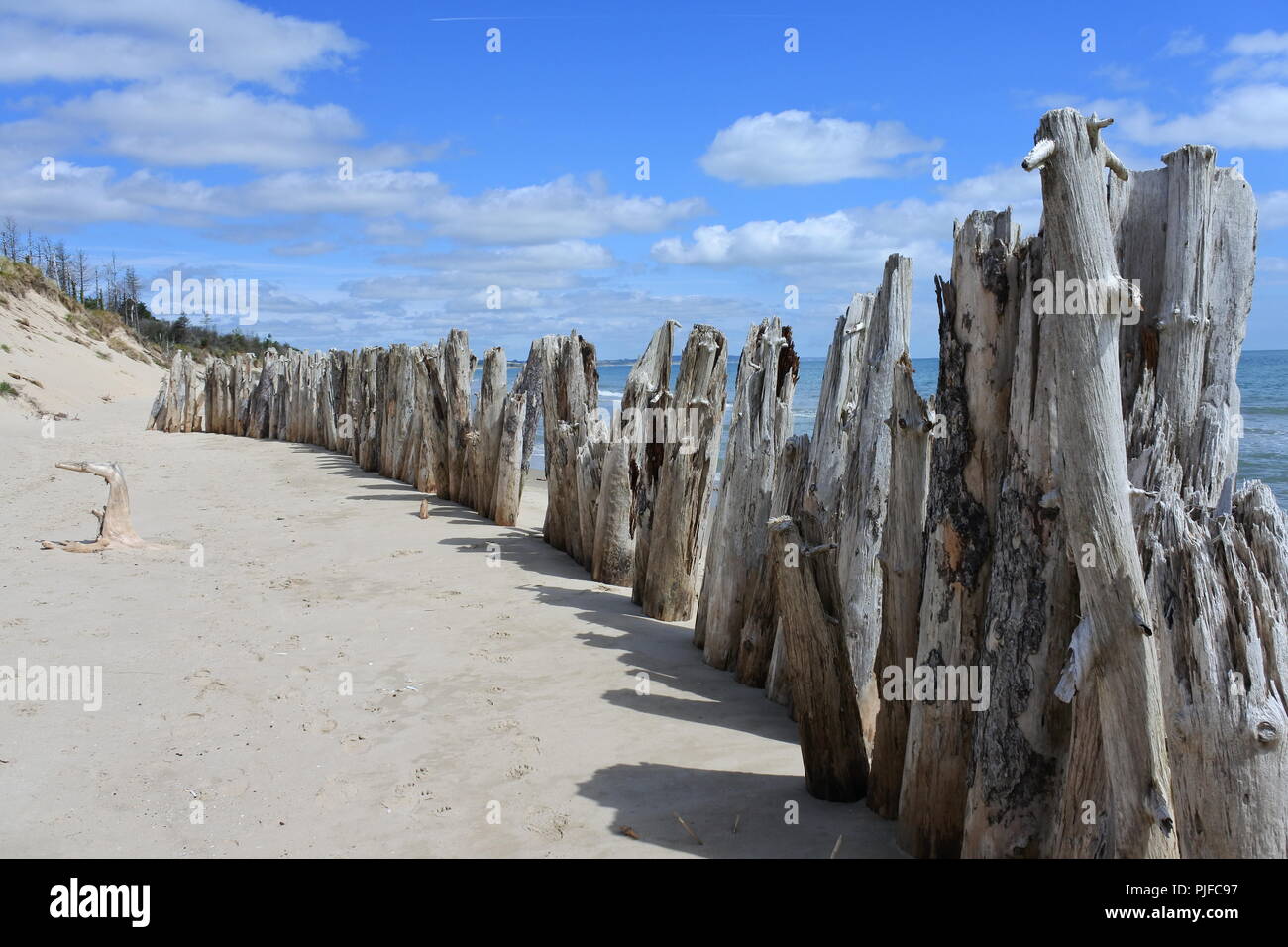 Raven point wexford hi-res stock photography and images - Alamy