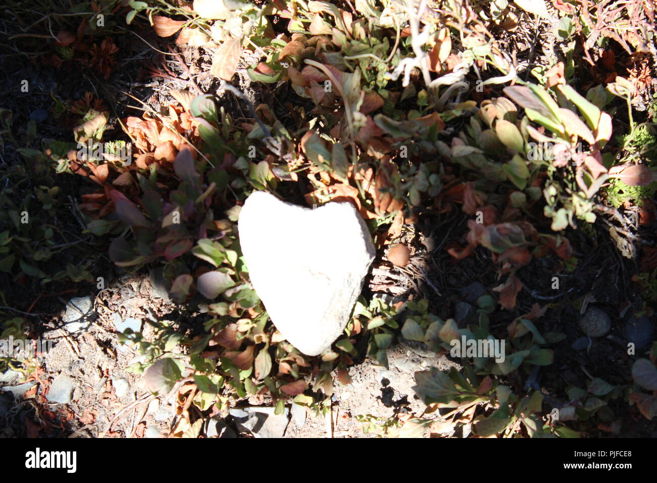 Hint stone hi-res stock photography and images - Alamy