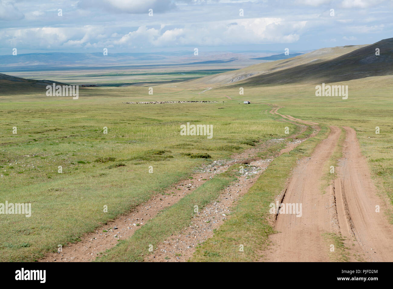 Dirt road leading to a plain in Khövsgól Province, Mongolia, Flock of ...