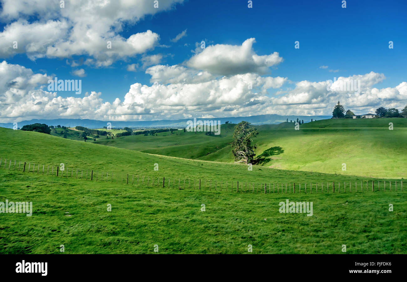 Hobbiton movie set and farm hi-res stock photography and images - Alamy