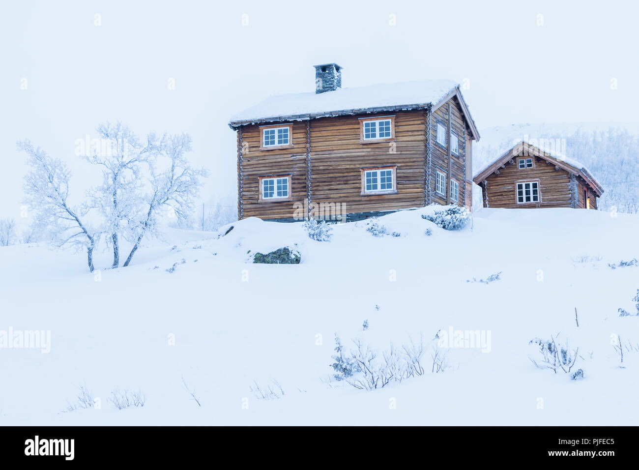 Winter log cabins in the snow in Norway surrounded by a frosty ...