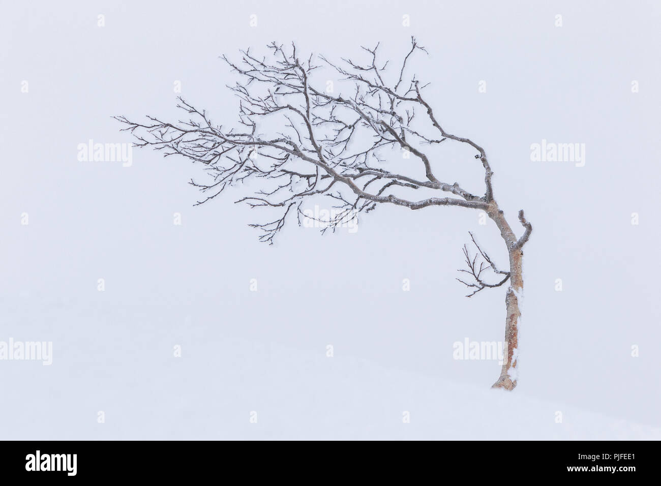 Scandic norge hi-res stock photography and images - Alamy