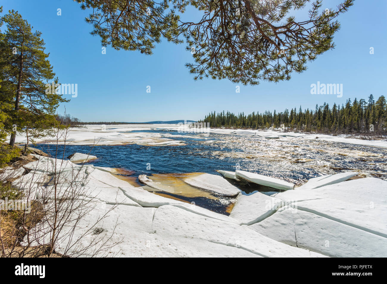 Landscape in springtime with icefloes on a river, snow in the forest ...