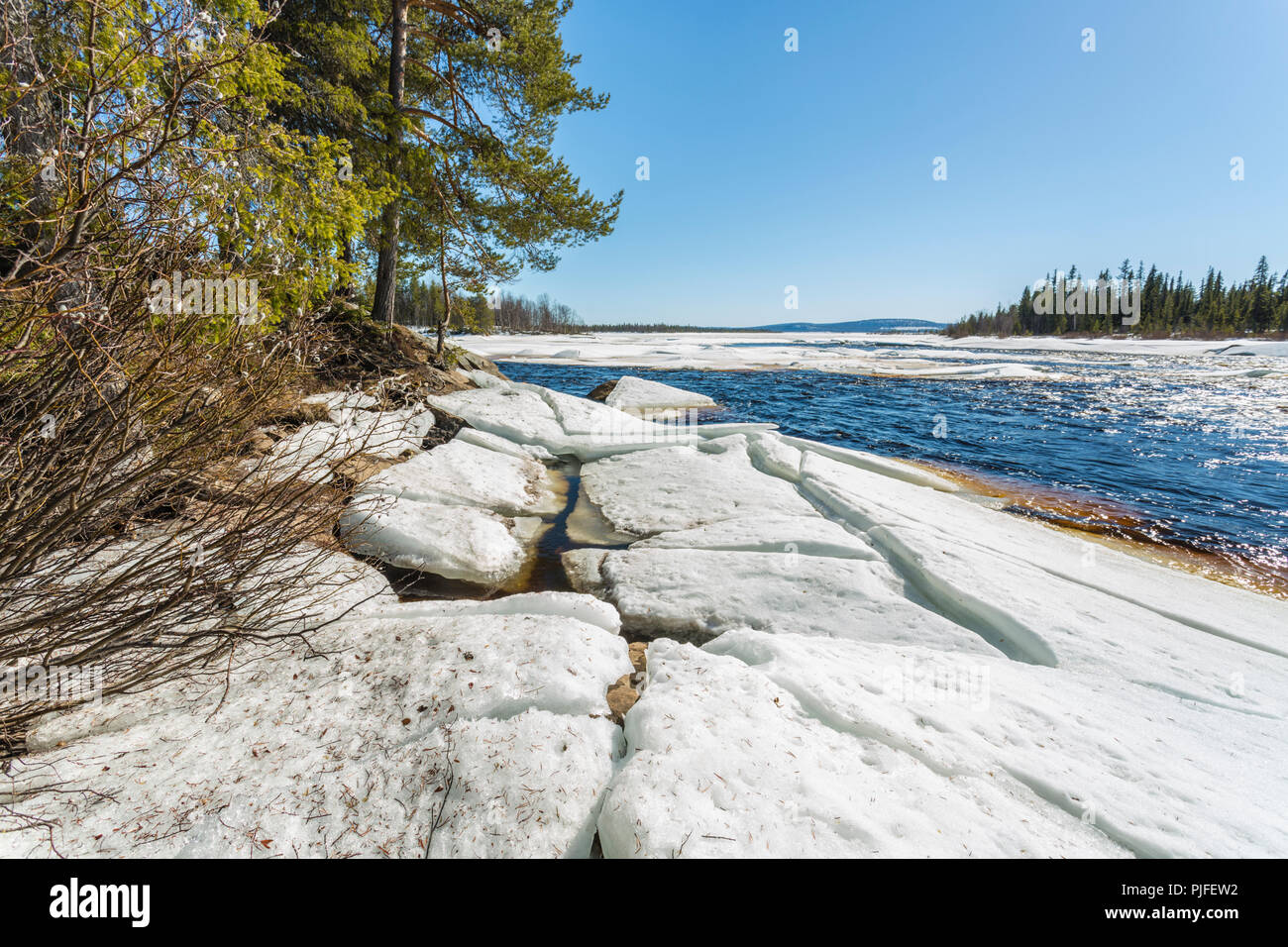 Landscape in springtime with icefloes on a river, snow in the forest ...