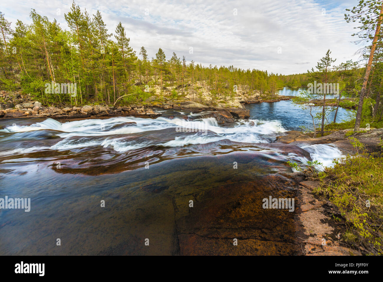 River with waterfall in forest with pine trees and birch trees around ...