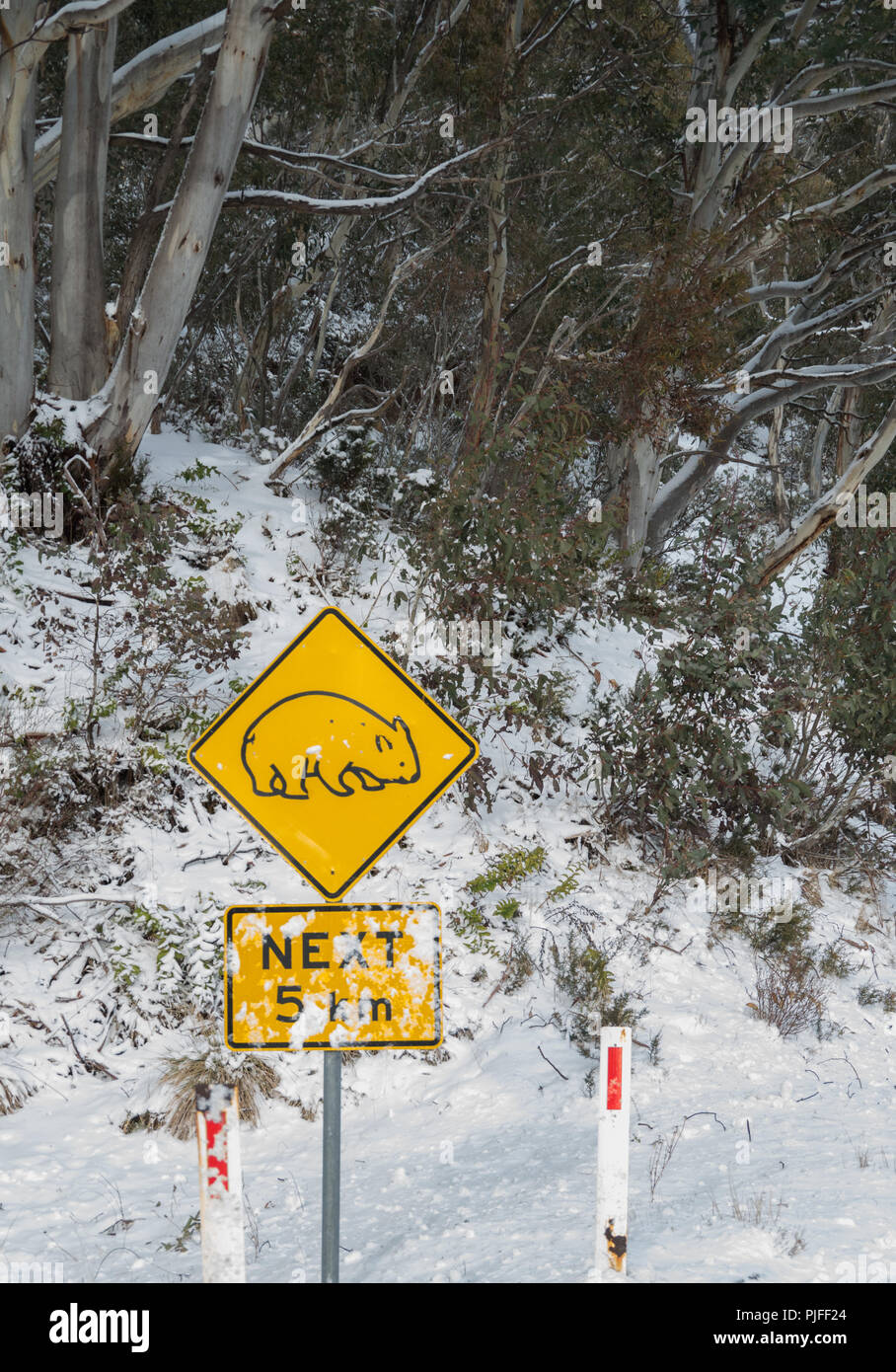Wombat warning sign hi-res stock photography and images - Alamy
