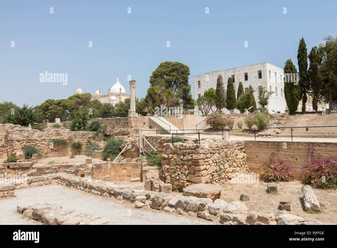 The Ruins of Ancient Carthage, Tunisia, Africa Stock Photo - Alamy