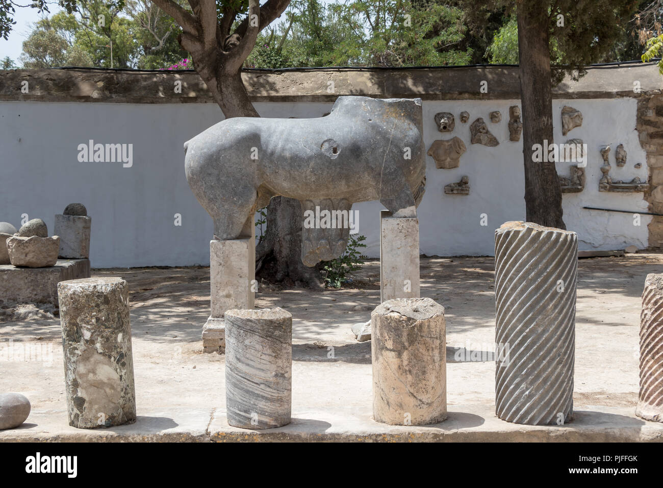 Ancient Carthage, visiting the ruins, Tunisia, Africa Stock Photo - Alamy