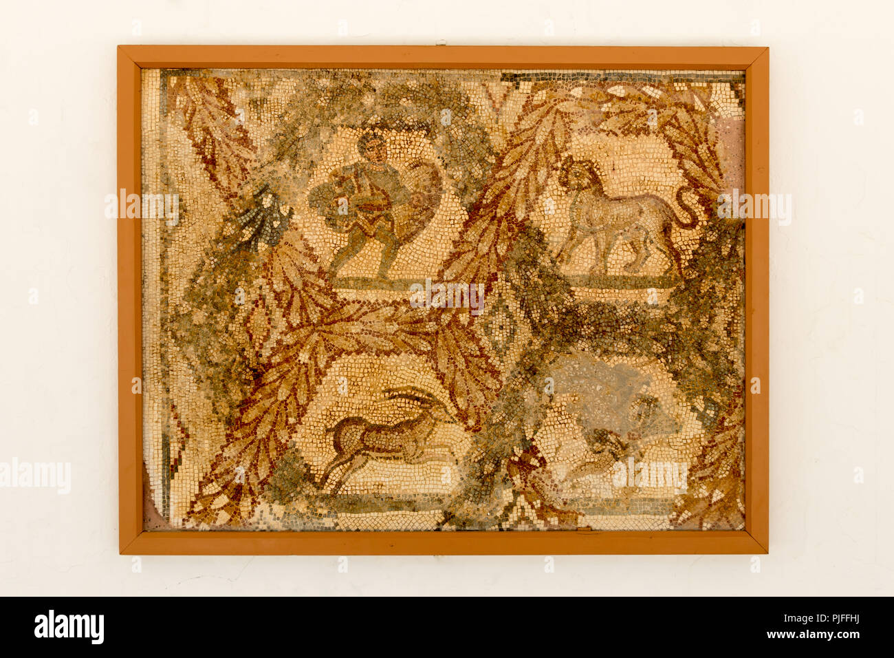Mosaic carthage hi-res stock photography and images - Alamy