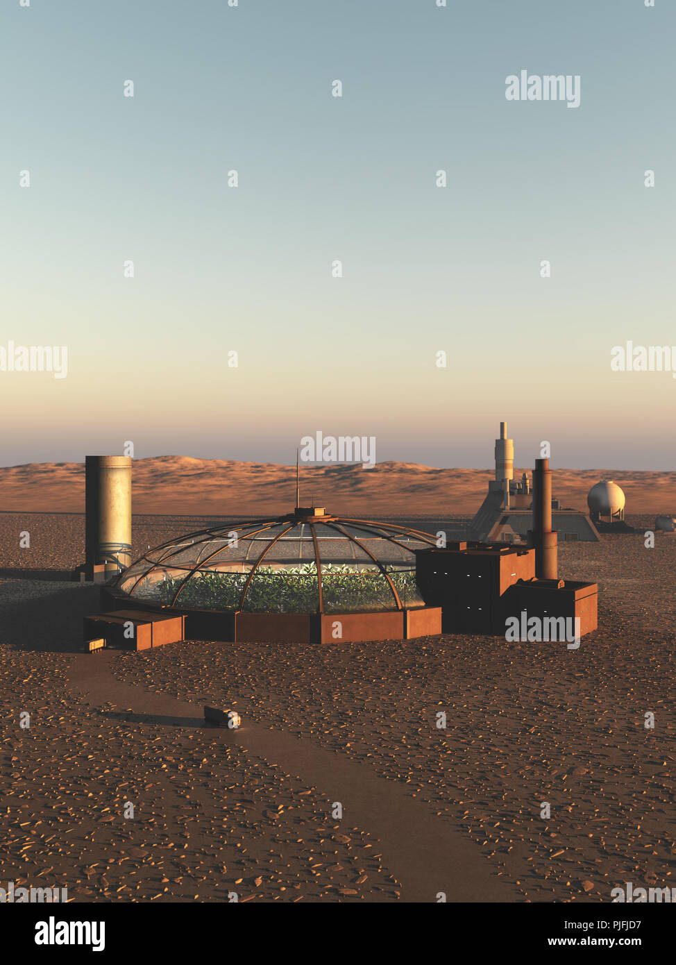 Ecosystem illustration desert hi-res stock photography and images - Alamy