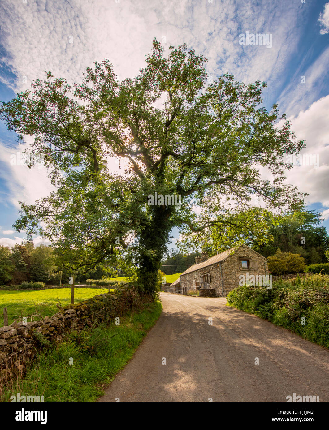 A traditional Lakeland cottage near Roam Wood between Bouth and Spark ...
