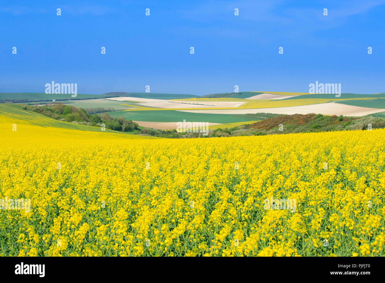 Landscape of the Boulonnais inland region viewed from the “Mont de ...