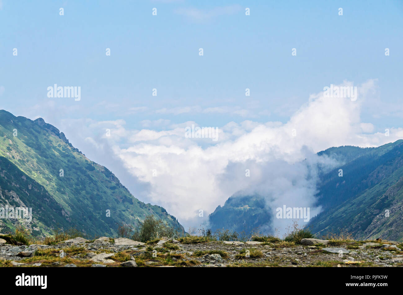 The Transfagarasan road in Fagaras mountains, Carpathians with green ...