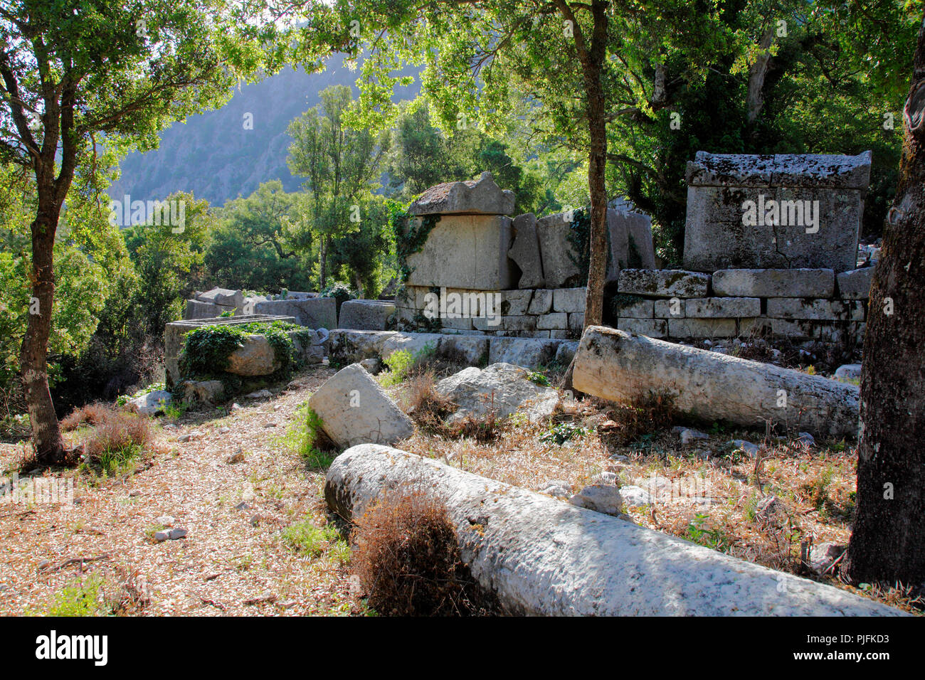 Turkey, province of Antalya, archaeological site of Termessos (national ...
