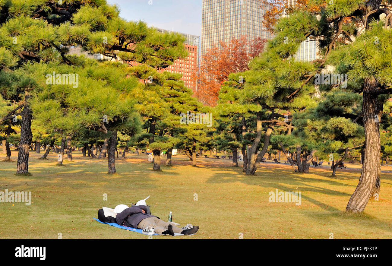 Japan, Tokyo, homeless man in a park Stock Photo - Alamy