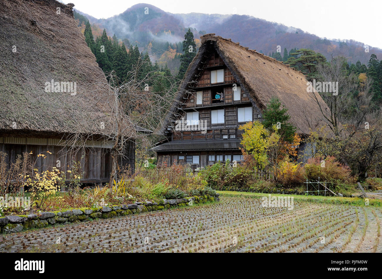 Traditional thatched roof houses shirakawa go hi-res stock photography ...