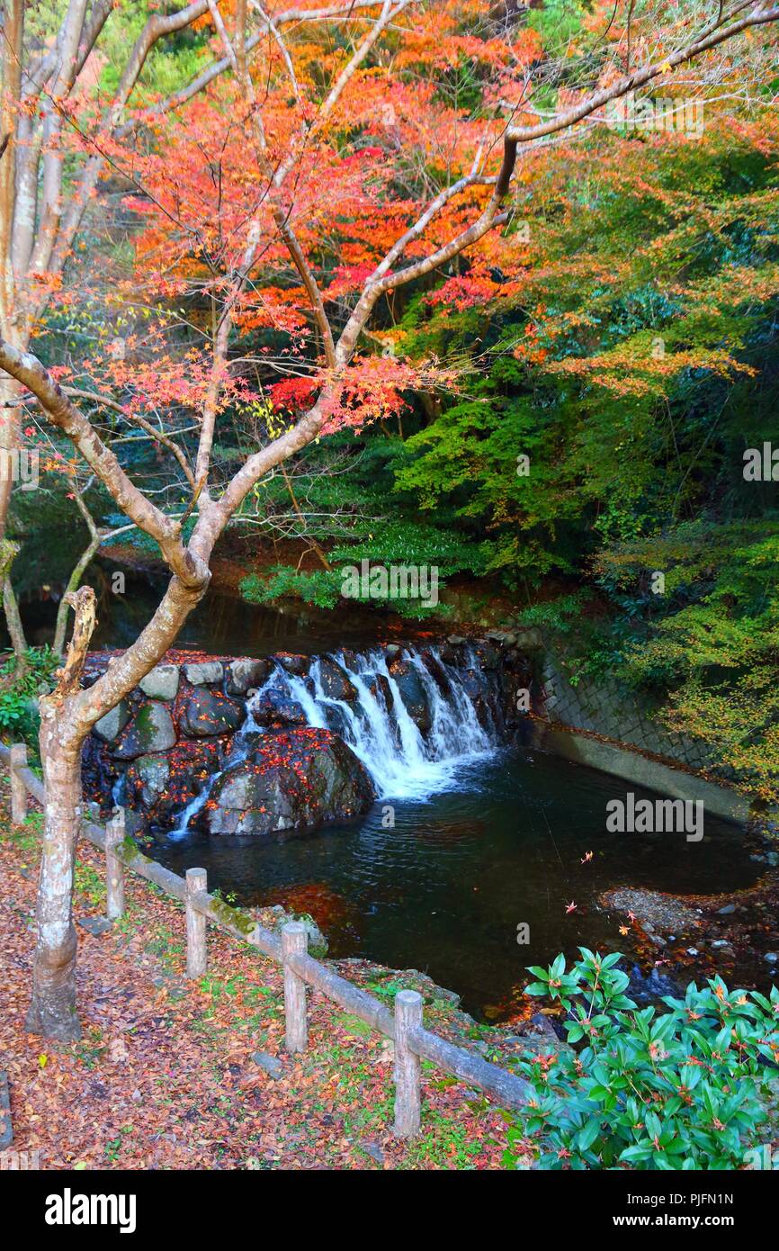 Minoo hi-res stock photography and images - Alamy