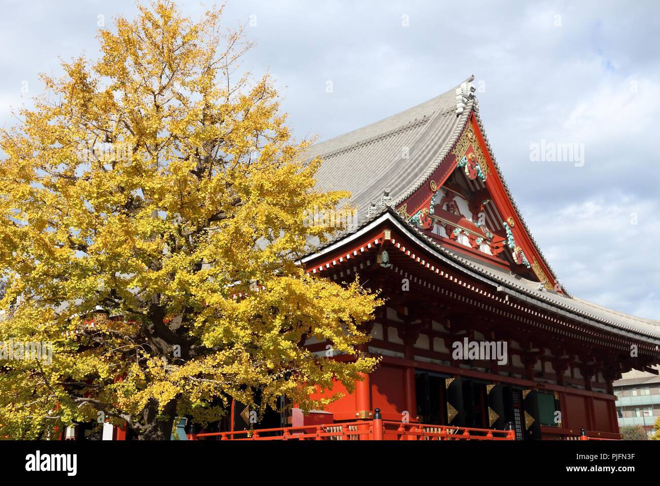 Tokyo sensoji temple hi-res stock photography and images - Alamy