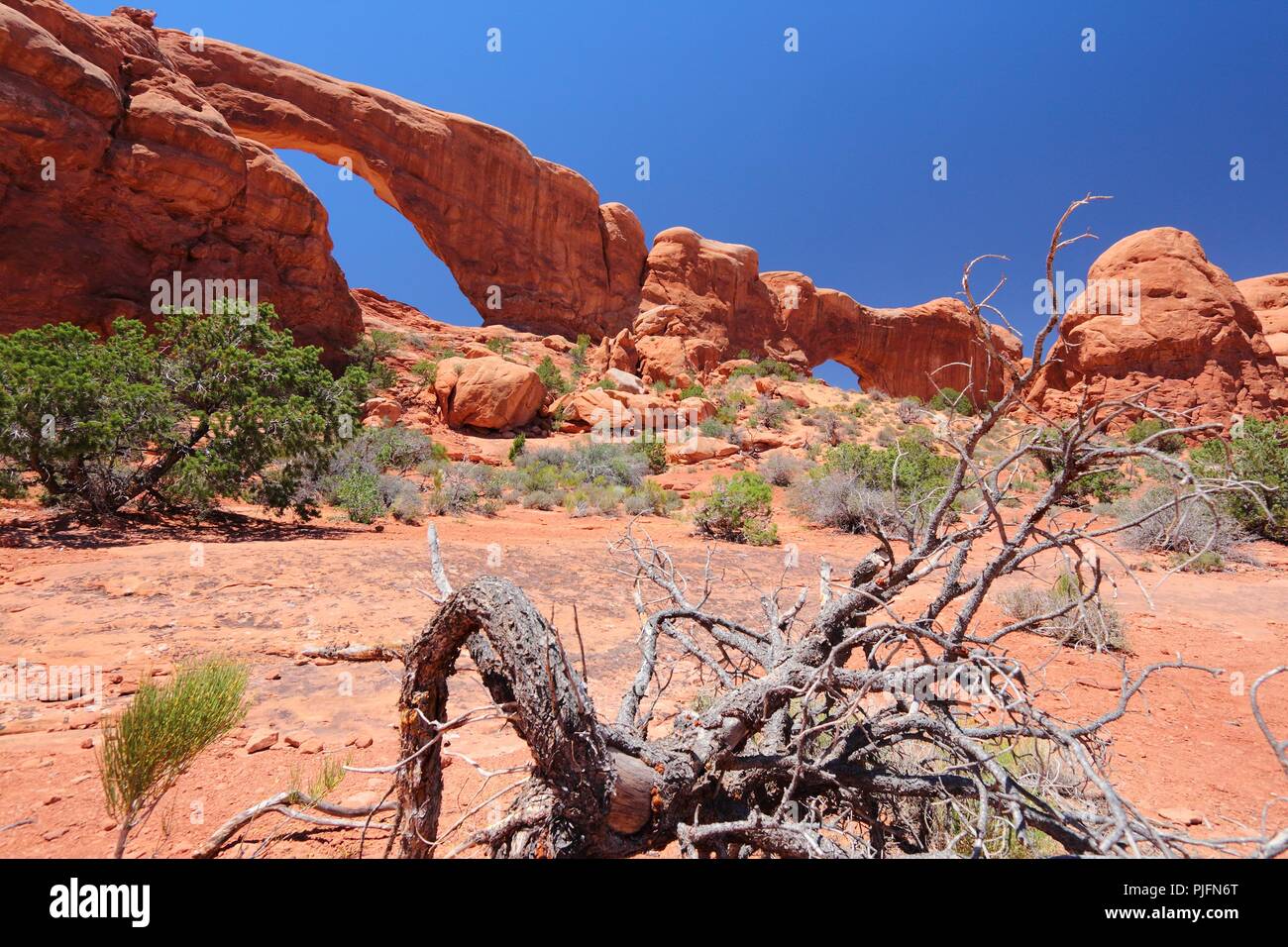 Arches National Park in Utah, USA. Famous Windows (Window Arch Stock ...