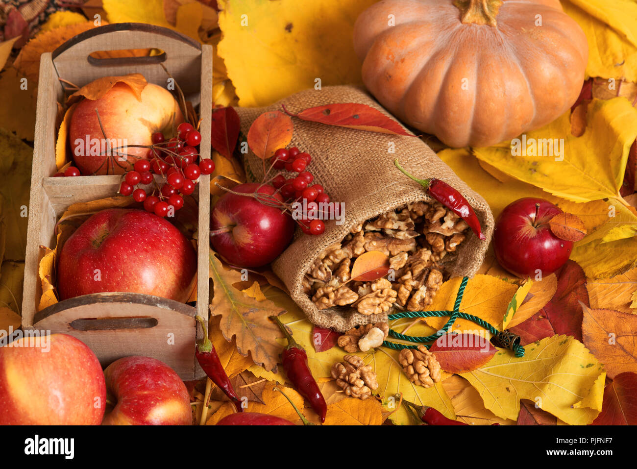 autumn harvest - fruits and vegetables are on fallen yellow leaves ...