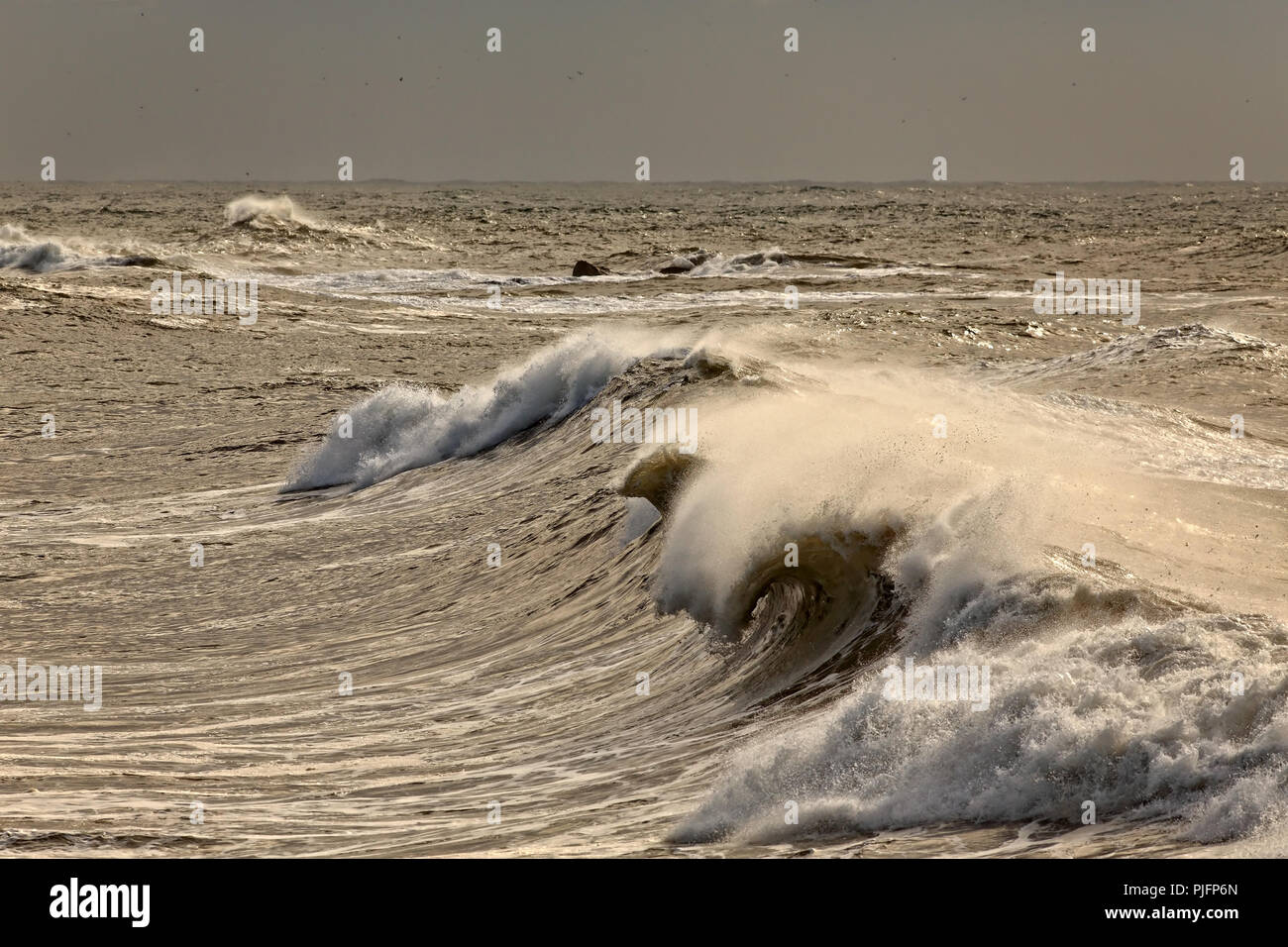 Typical autumn seascape with strong waves from the north of Portugsl ...