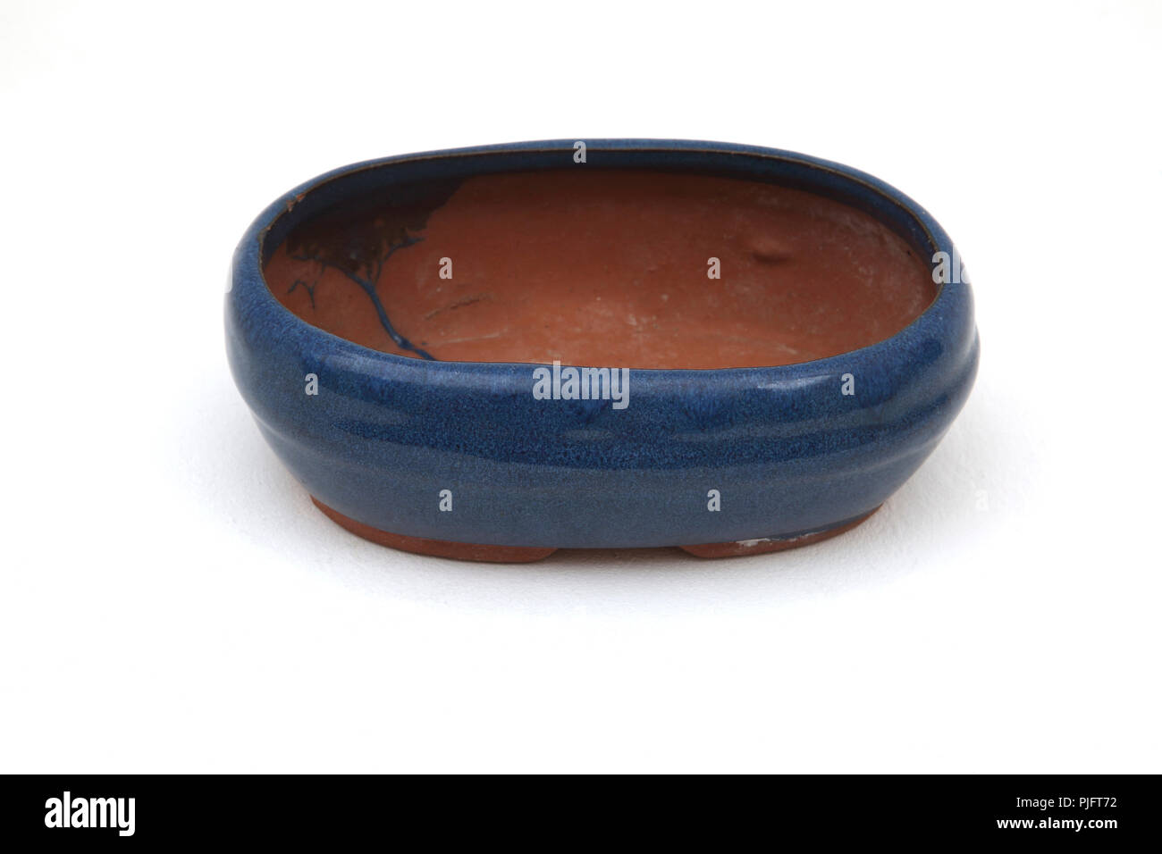 Tree base Cut Out Stock Images & Pictures - Alamy