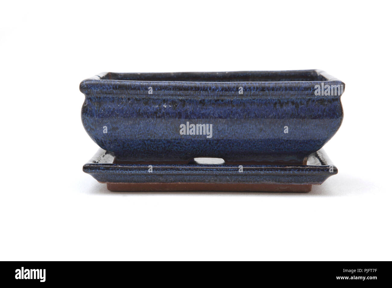 Tree base Cut Out Stock Images & Pictures - Alamy