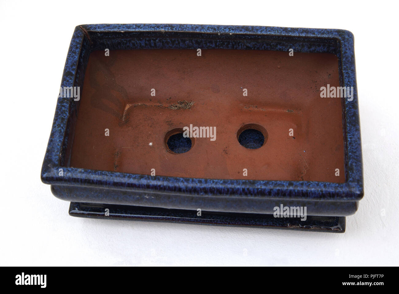 Tree base Cut Out Stock Images & Pictures - Alamy