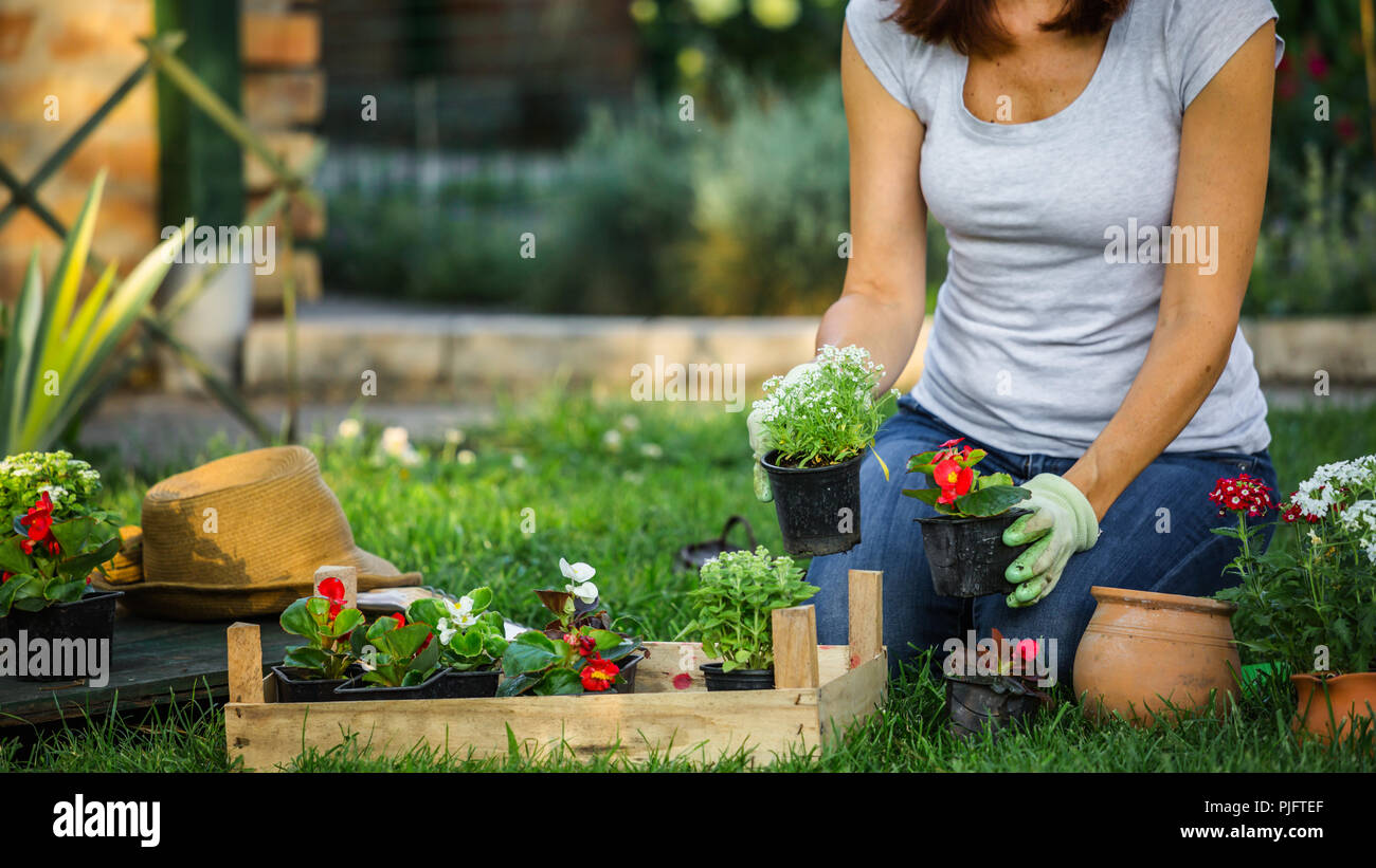 Beautiful woman planting flowers hi-res stock photography and images ...