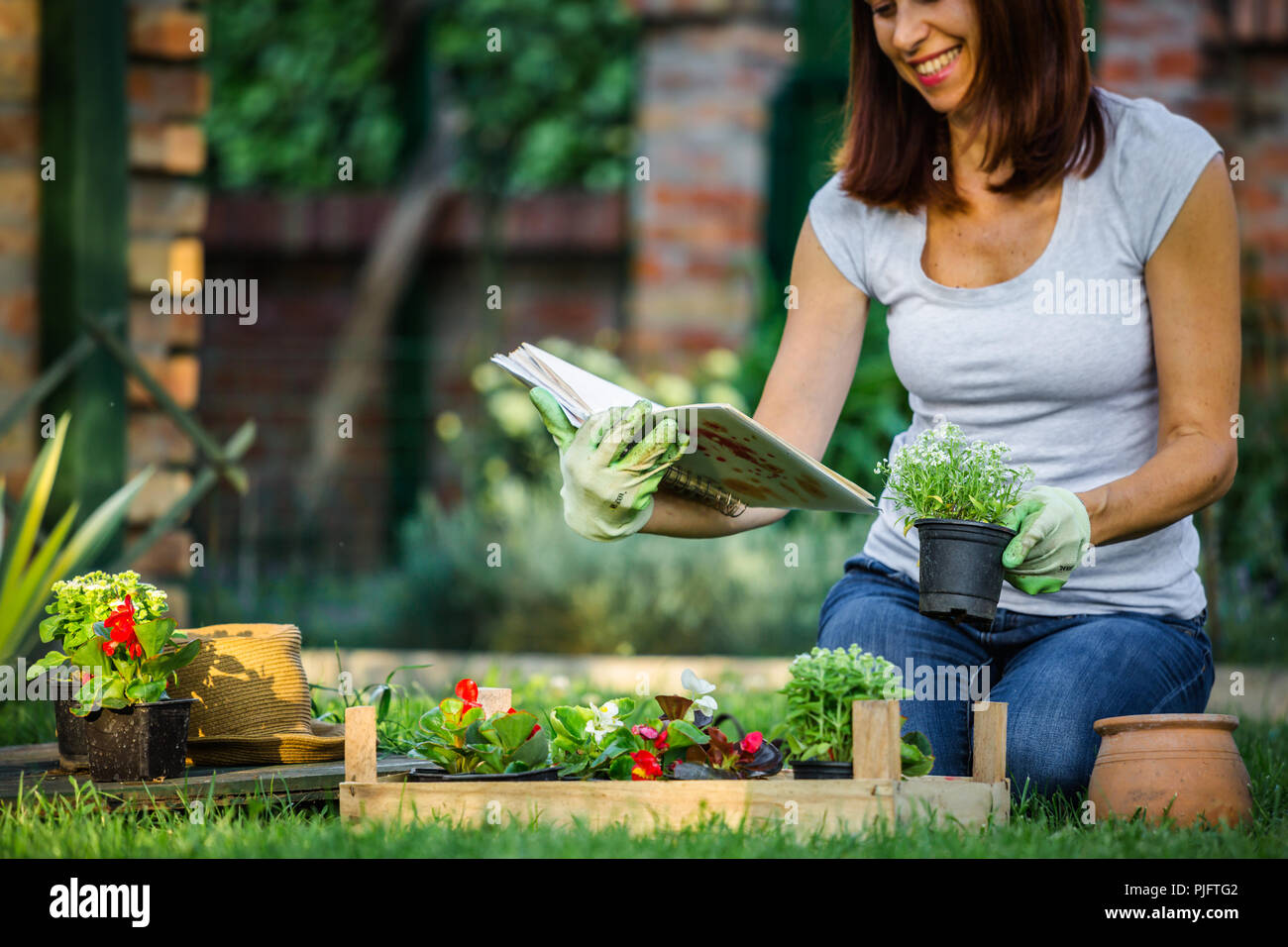 Perfect afternoon for spend time in garden Stock Photo - Alamy
