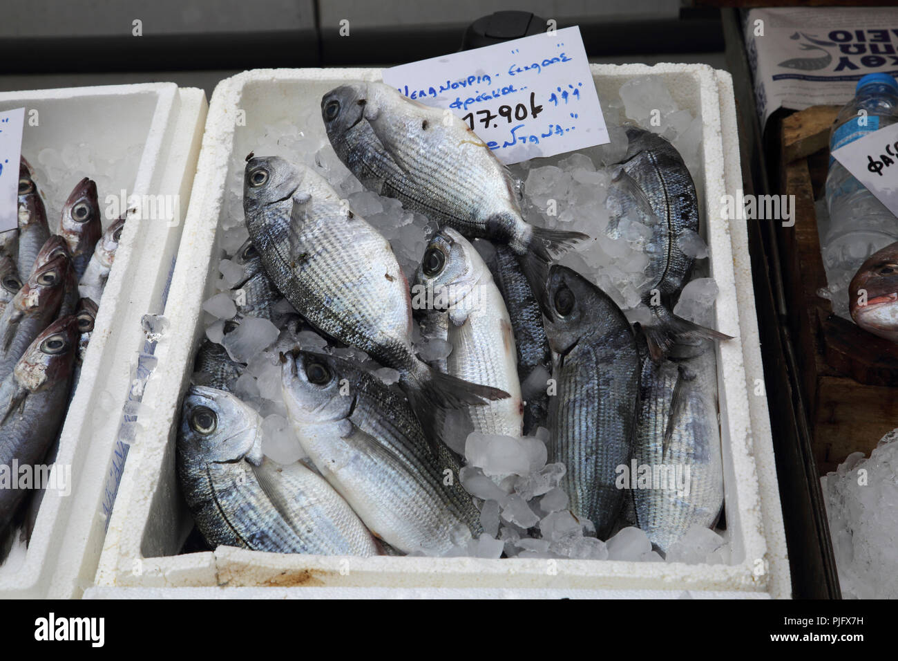 Vouliagmeni Athens Greece Saturday Fish Market Stock Photo - Alamy