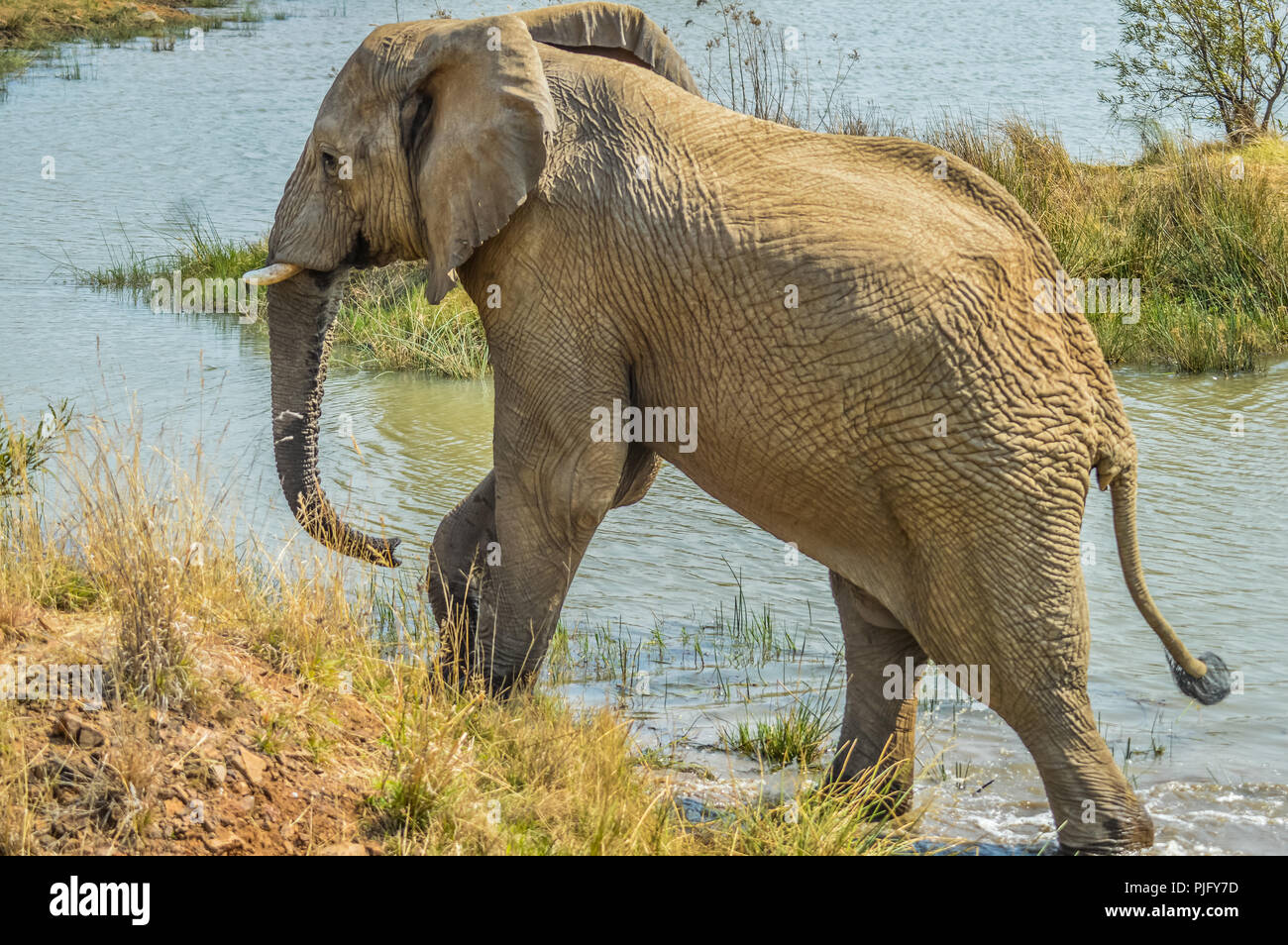 Makorwane dam hi-res stock photography and images - Alamy