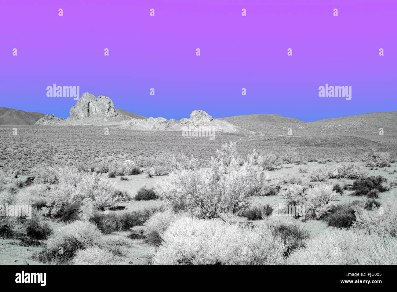 Colorful light pink and blue sunset over the desert landscape with ...