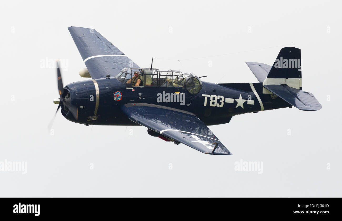 Grumman TBF-3 Avenger, world war II US Navy torpedo bomber flying at ...