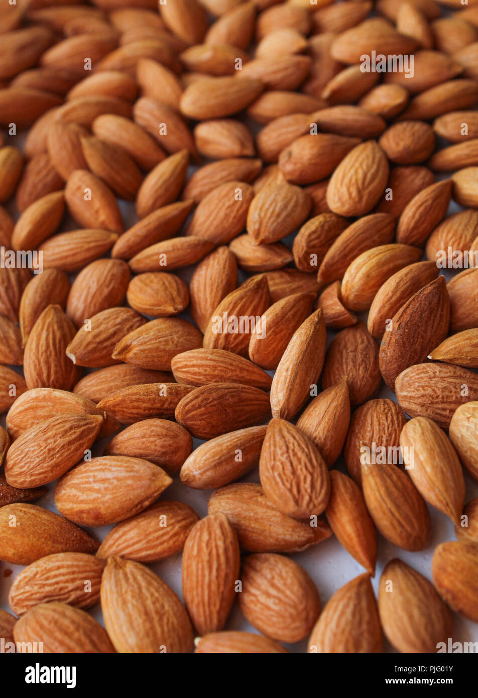 Apricot texture hi-res stock photography and images - Alamy