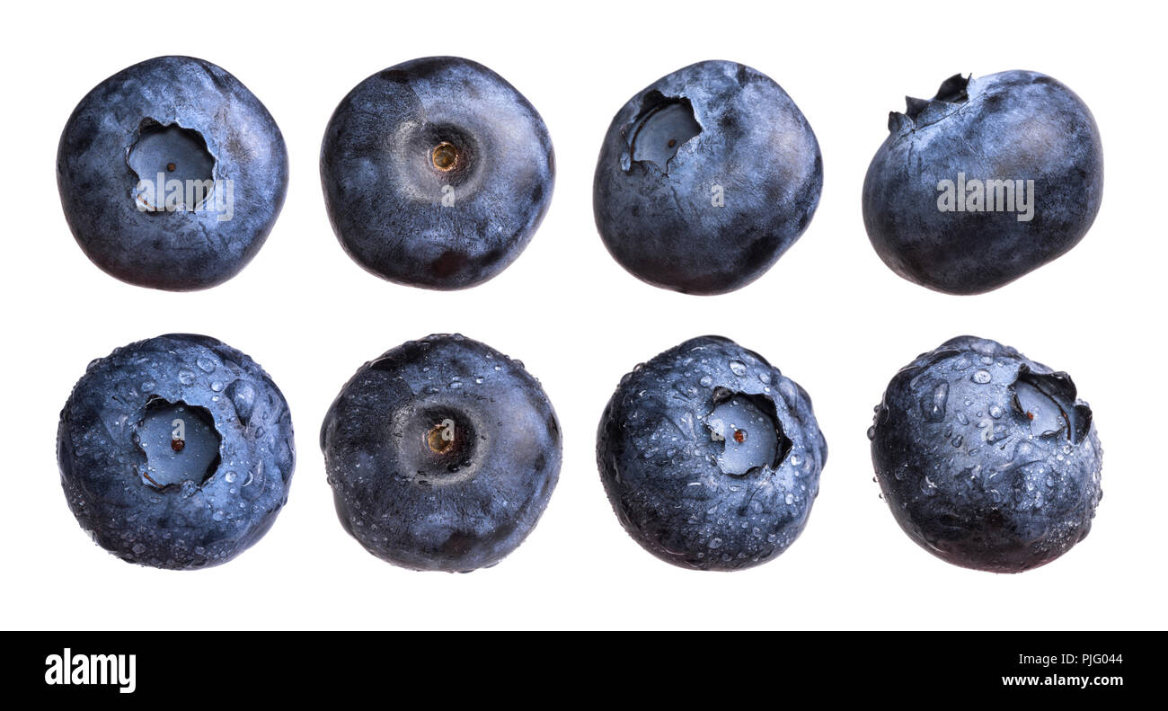 Set of fresh blueberry with water drops isolated on white background ...