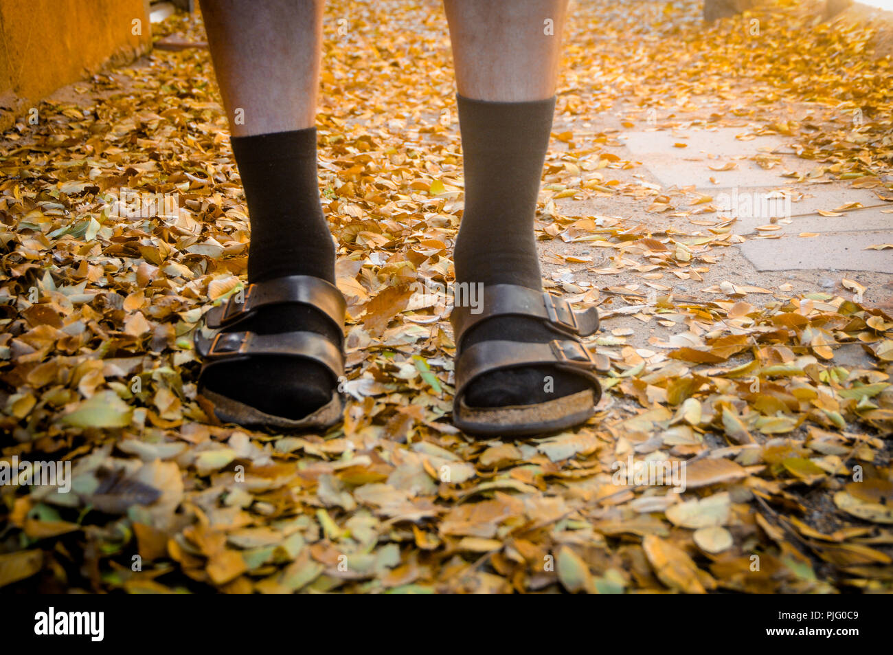 Socks with sandals Stock Photo - Alamy