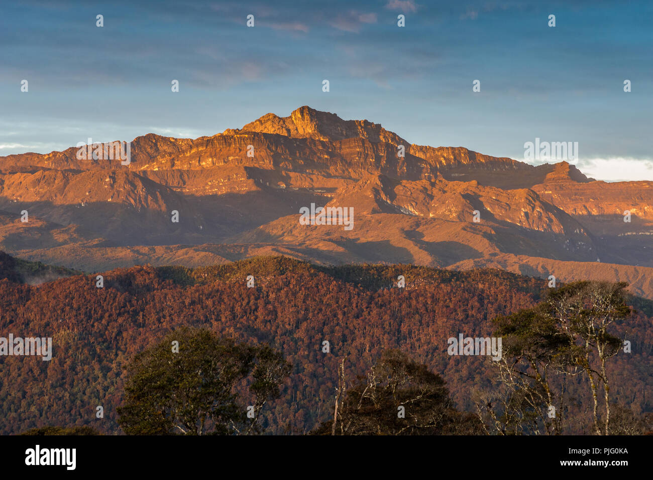 Morning sunshine on Gunung Puncak Trikora. At 4750 m, it is the second ...