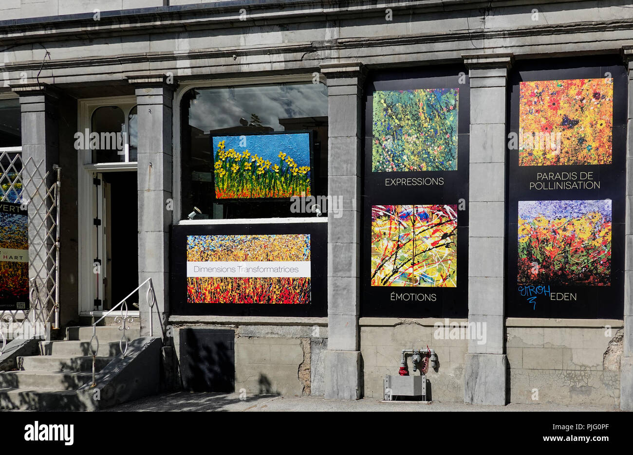 Paint Window Display