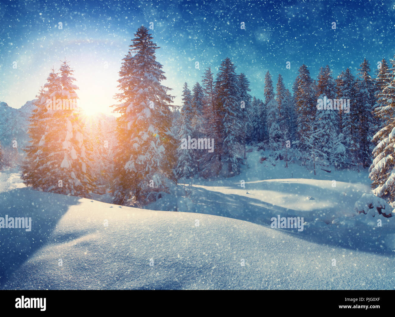 Snowfall in nature hi-res stock photography and images - Alamy