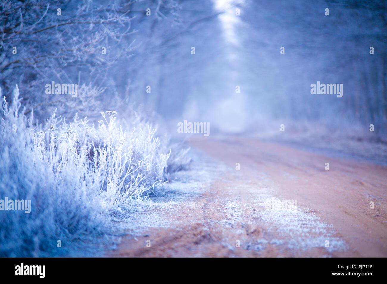 Winter Weather Background
