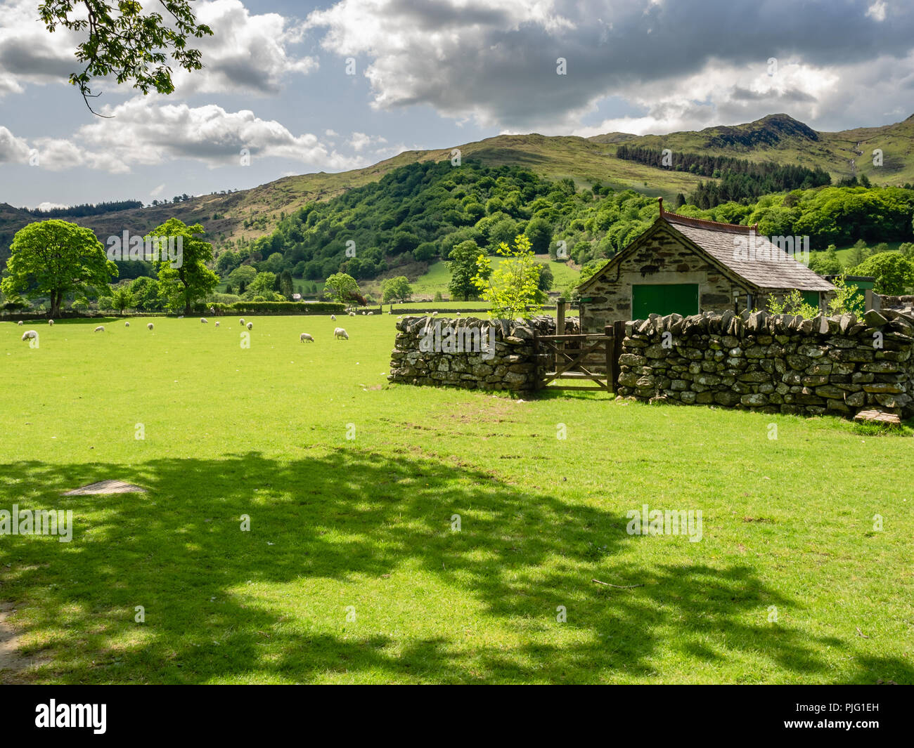 Llewelyn Prince Wales Stock Photos & Llewelyn Prince Wales Stock Images ...