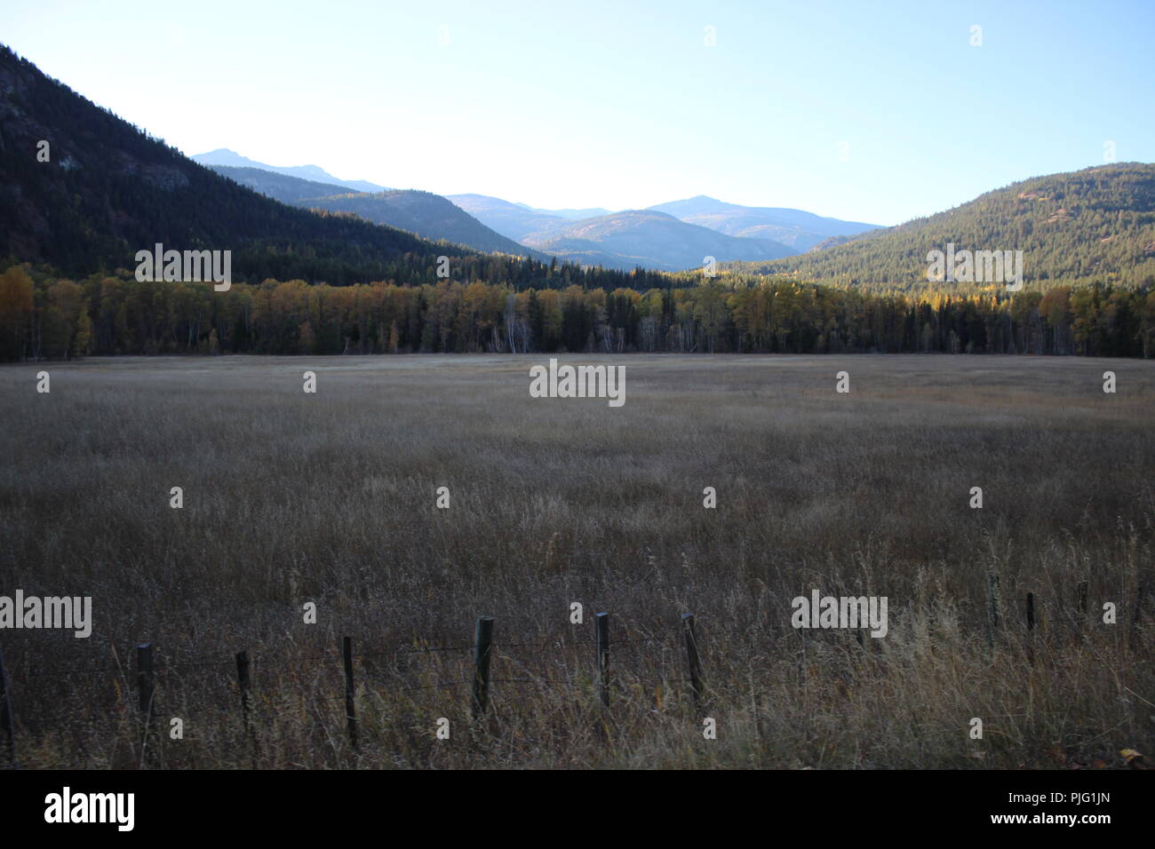 Peaceful valley ranch hi-res stock photography and images - Alamy